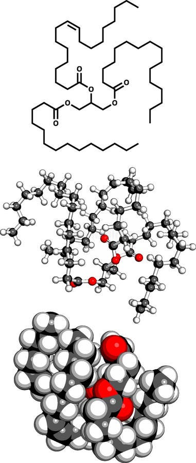Saturated Animal Fat Triglyceride (butter, Cheese, Beef, Etc) Molecular ...