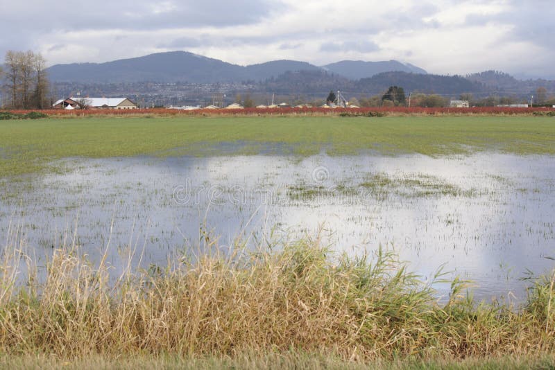 Saturated Farm Land stock image. Image of land, saturated - 27621503