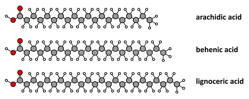 Saturated Fatty Acids: Arachidic, Behenic and Lignoceric Acid. Long ...