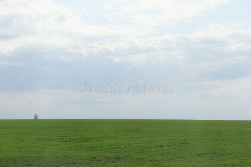 Saturated Grass Field with the Cloudy Sky. Stock Photo - Image of ...