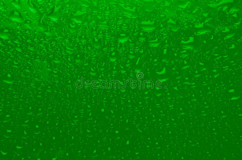 Saturated Green Leaves Background Stock Image - Image of grass ...