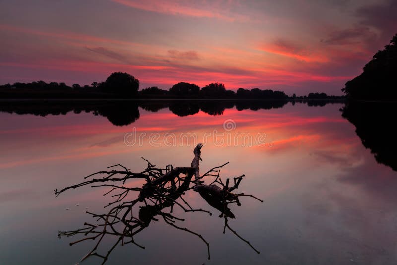 Saturated Red Sunrise Over Lake Stock Photo - Image of plant, pond ...