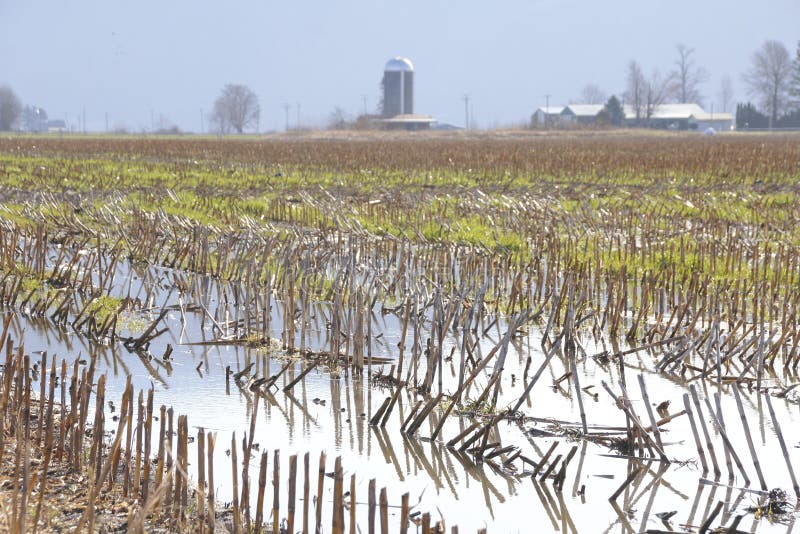Saturated Washington Farm Land Stock Image - Image of saturation ...