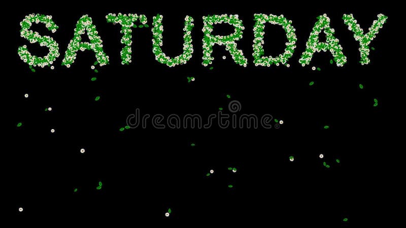 Saturday Text with Green Leaves and White Daisy Flowers on Plain Black ...