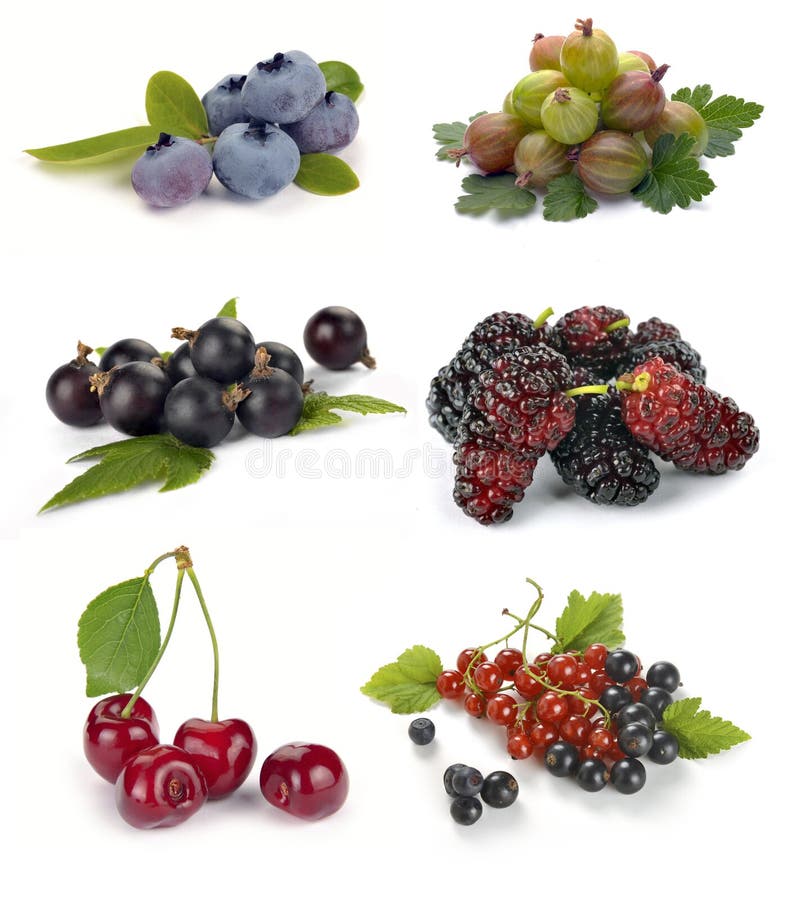 Satz verschiedene Beeren stockfoto. Bild von heck, blaubeere - 35576854