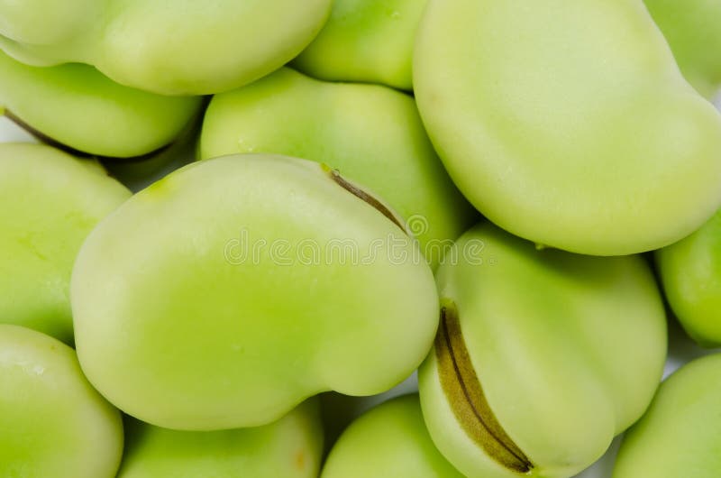 Saubohne stockfoto. Bild von diät, leben, koch, garten - 24976206