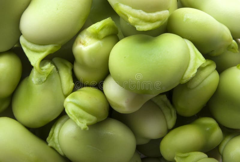 Saubohne stockfoto. Bild von ausgedehnt, aperitif, fett - 9258438
