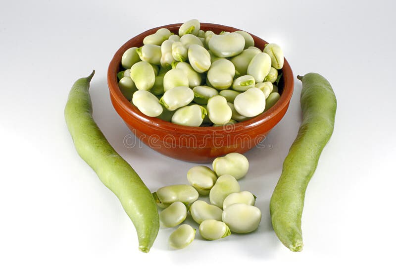 Saubohnen stockfoto. Bild von vegetation, bohne, bestandteile - 1401140