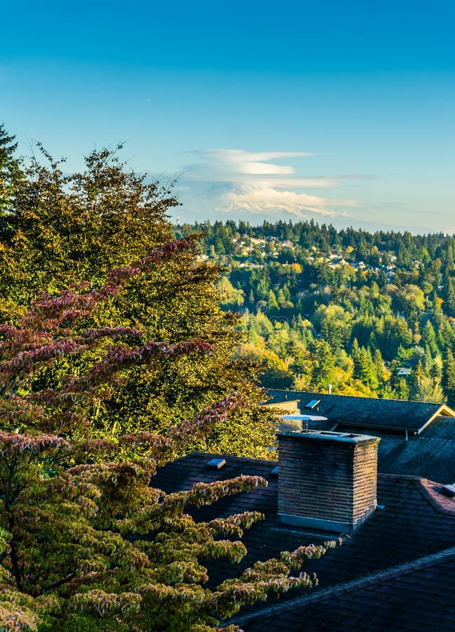 Saucer Clouds Over Rainier 3 Stock Photo - Image of landscape, scenic ...