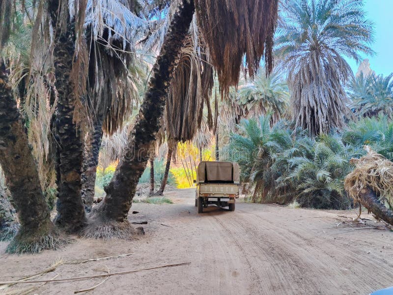 Wadi Disah, Saudi Arabia - 12 Mar 2020: the Car in Wadi Disah, Al Shaq ...