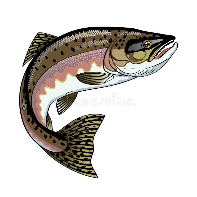 Saumons Stock Illustrations, Vecteurs, & Clipart – (48,486 Stock ...