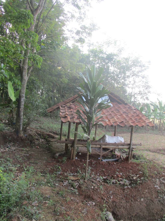 Saung the Farmers on the Edge of the Fields Stock Image - Image of tree ...