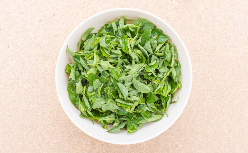 Sauropus Androgynus or Pakwan in Thai. Stock Image - Image of plant ...