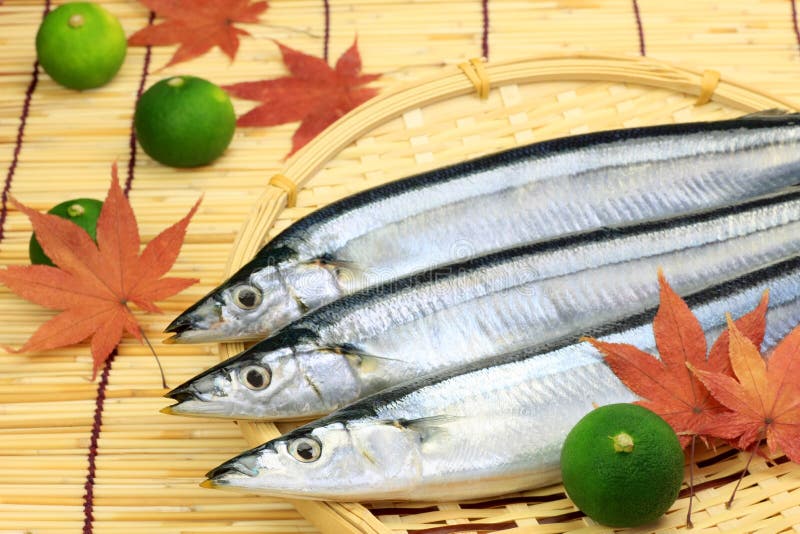 Saury stock photo. Image of saury, health, sudachi, products - 21825096