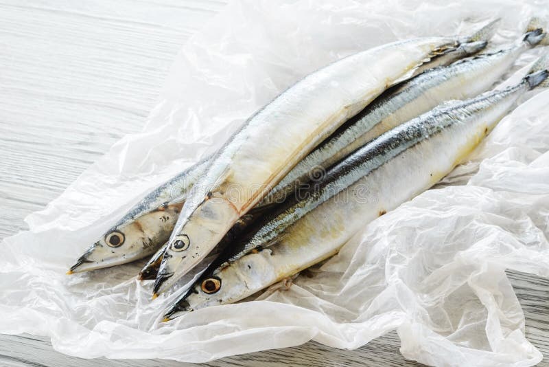 Saury fish stock photo. Image of pike, saury, saira, food - 42817688