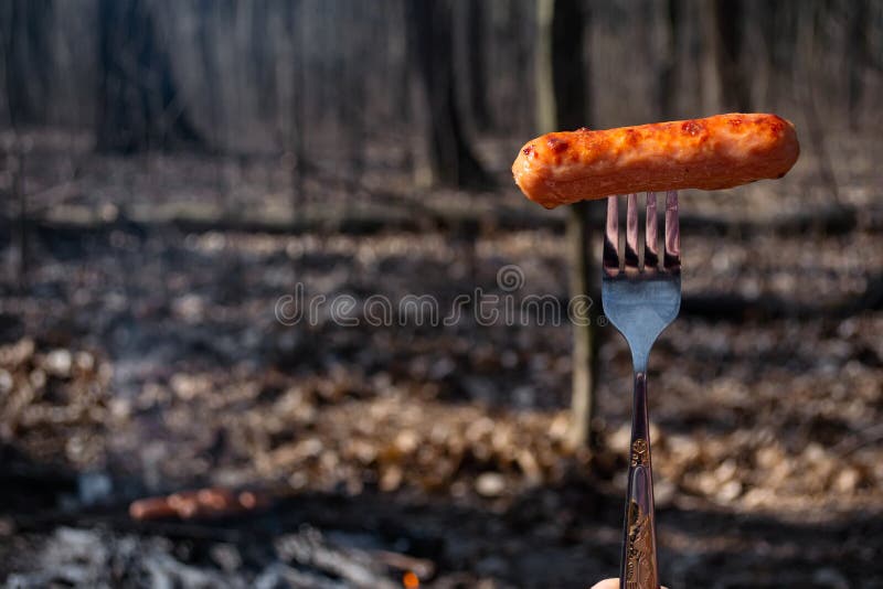 Sausage Fried on a Fire in the Forest in Early Spring Stock Image ...