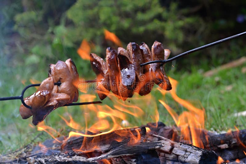 Sausages in the fire stock photo. Image of outdoor, campfire - 40011352
