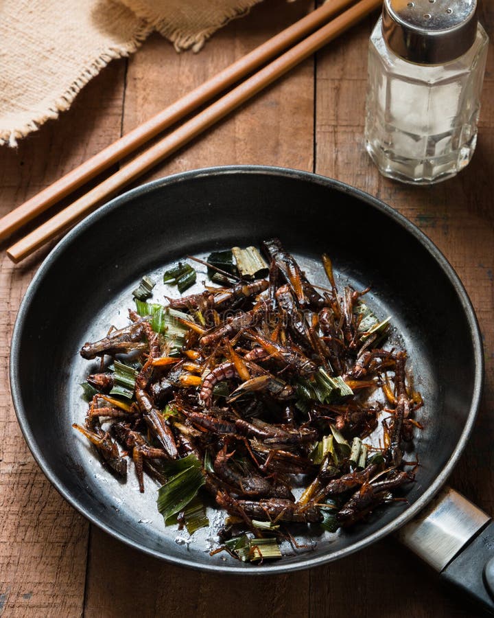 Sauterelle Frite Dans Le Plat Image stock - Image du insecte, frit ...