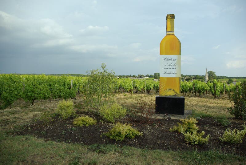 Sautern wineyard editorial photo. Image of autumn, country - 24445436