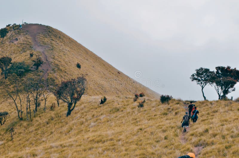 Savana View on Mount Merbabu, Suwanting Route Stock Image - Image of ...