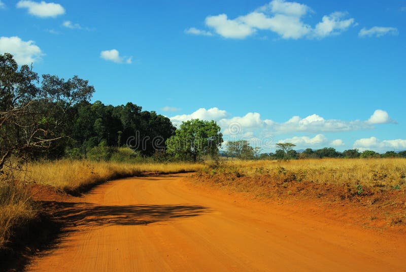 Savanna, South Africa stock photo. Image of road, african - 25914342
