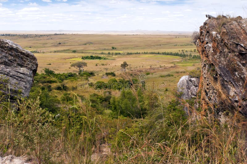 Savanna and Grasslands, Madagascar Stock Photo - Image of beige, rock ...
