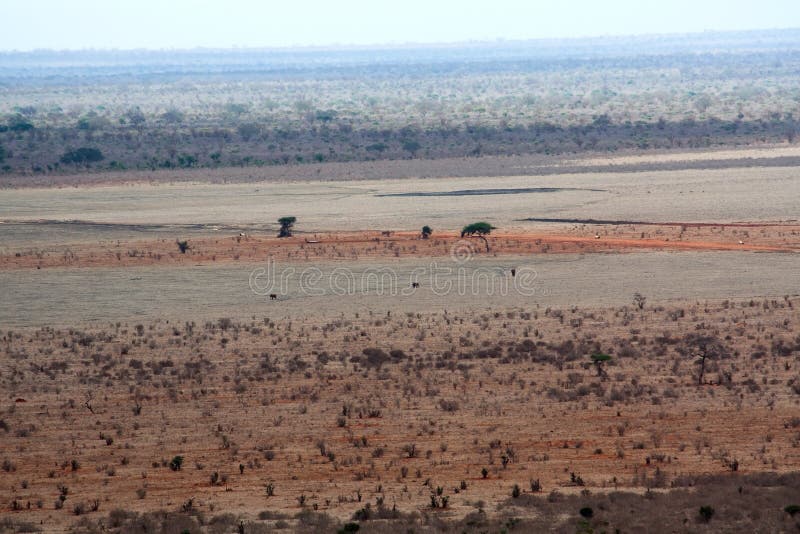Savanna Landscape stock image. Image of arid, blue, environment - 13025349