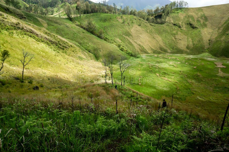 Savanna by Limiting the Caldera is a Dead Volcano Stock Photo - Image ...