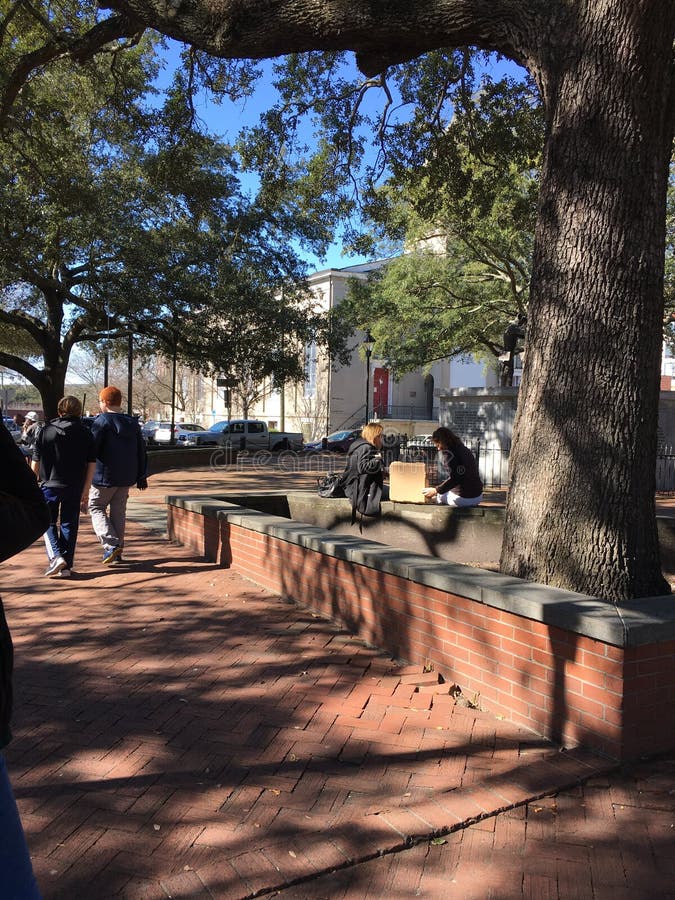 Savannah Georgia Square editorial stock photo. Image of plant - 69622568