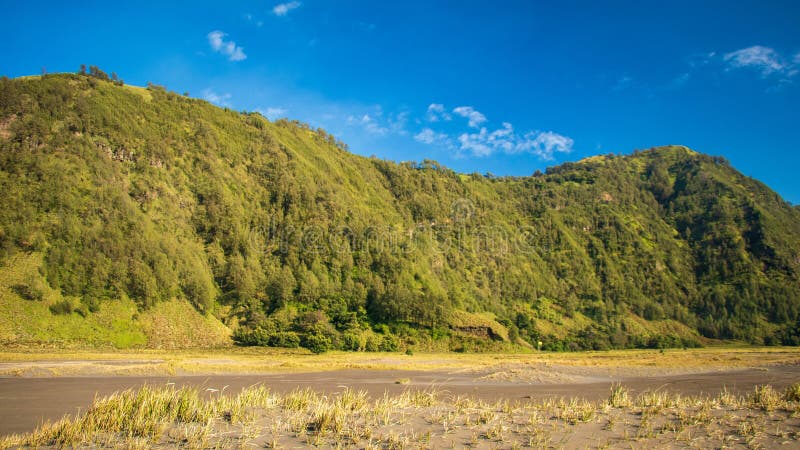 Savannah Hill in Bromo East Java Stock Image - Image of tree, valley ...