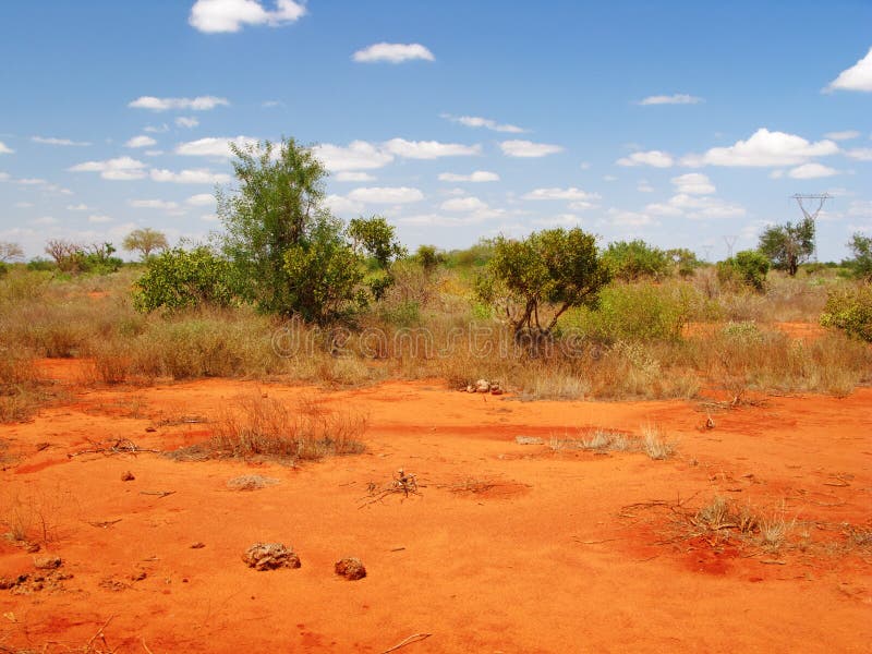 Savannah landscape stock image. Image of desert, country - 17738817