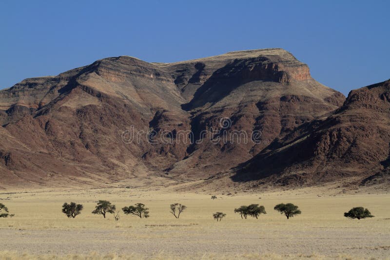 Savannah Landscape in Namibia Stock Image - Image of thesavannah ...