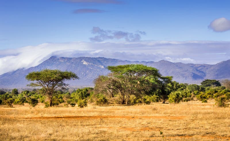 Savannah Plains Landscape in Kenya Stock Image - Image of land, blue ...