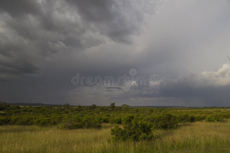 914 Savannah Storm Stock Photos - Free & Royalty-Free Stock Photos from ...