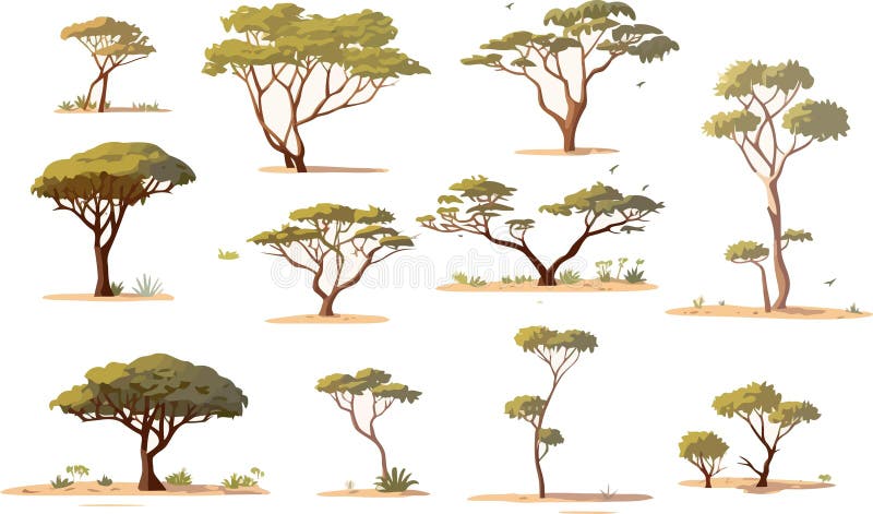 Savannah Trees Set Isolated Vector Style Illustration Stock Vector ...