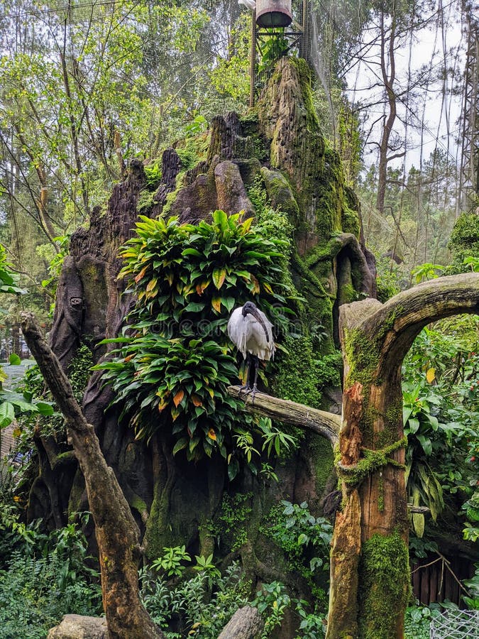 Save Animals because they are a Part of this World Stock Photo - Image ...