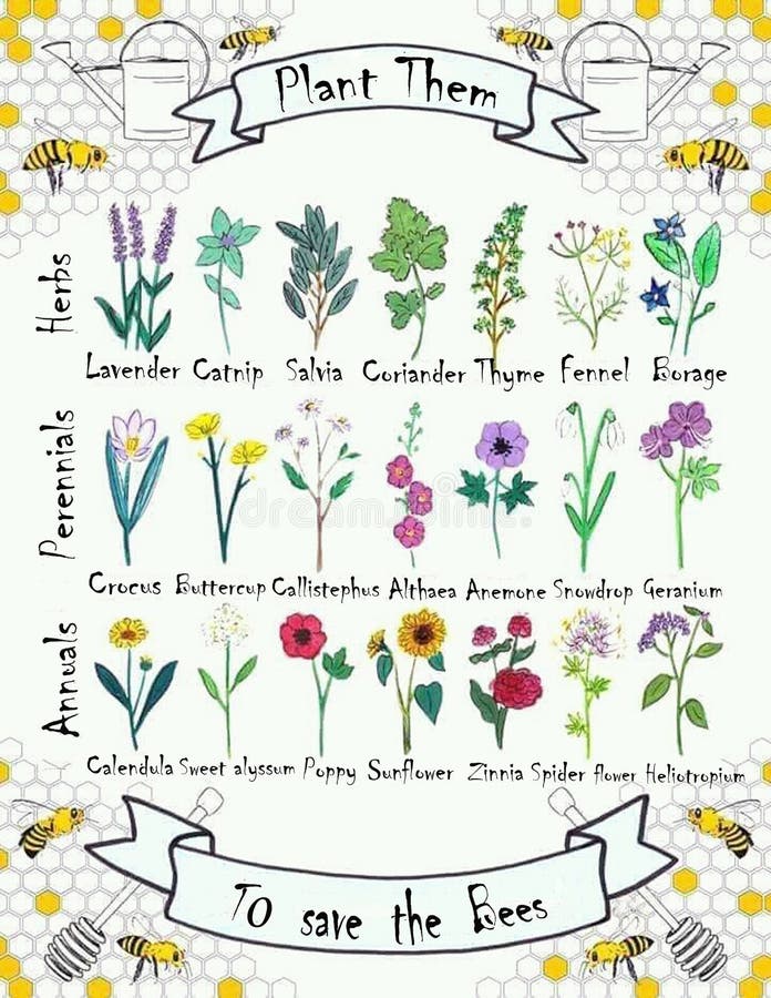 `Save the Bee` Poster,leaflet with Plants for Planting Stock ...