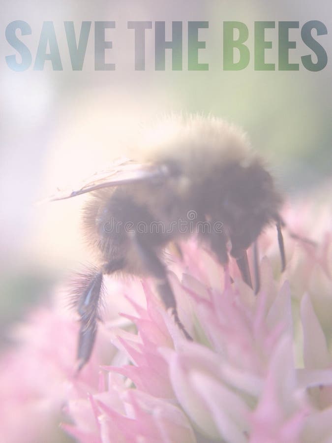 Save Bees Stock Illustrations – 323 Save Bees Stock Illustrations ...