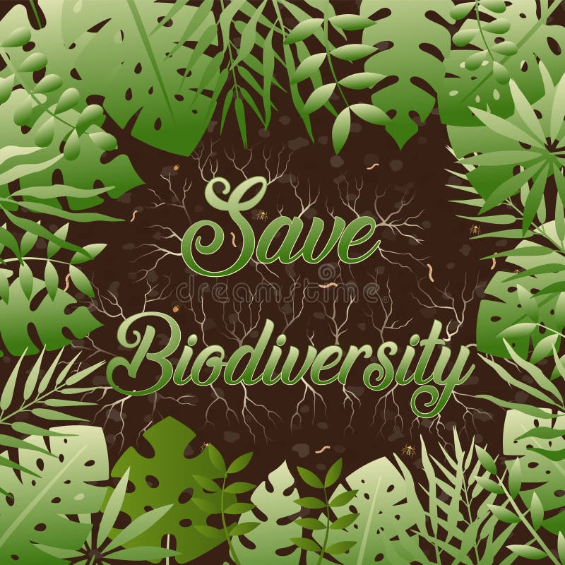 Biodiversity Sign Stock Illustrations – 2,135 Biodiversity Sign Stock ...