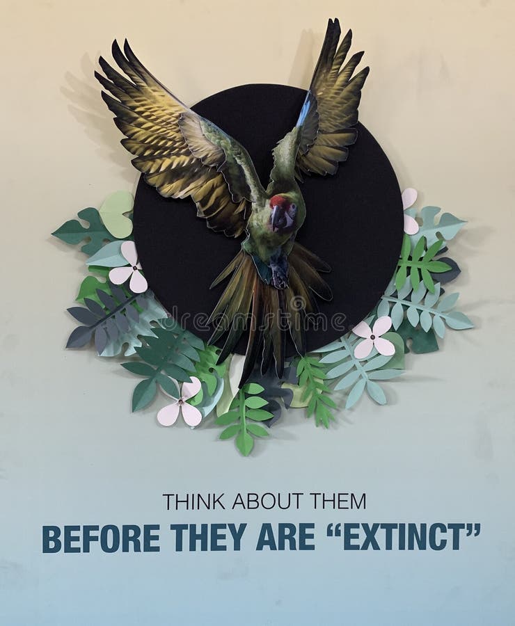 Save Birds ! stock image. Image of kill, save, detail, animals - 110677