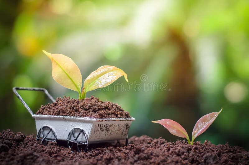 Save earth concept stock image. Image of barrow, green - 177787041