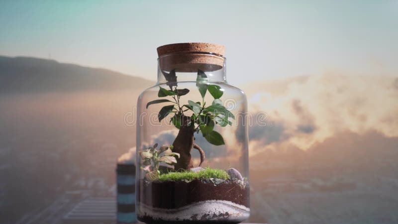Save the Earth, Experience the Wonder of an Ecosystem in a Jar with ...