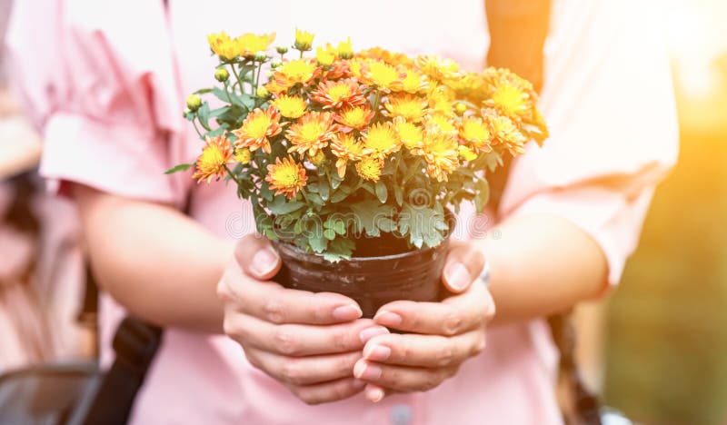 Save Earth Save Life by Plant the Tree, Environment Concept Stock Photo ...