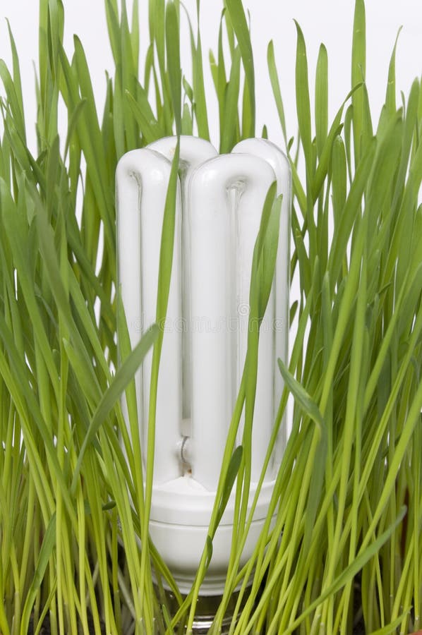 Save Energy Light Bulb Concept Stock Image - Image of compact, color ...