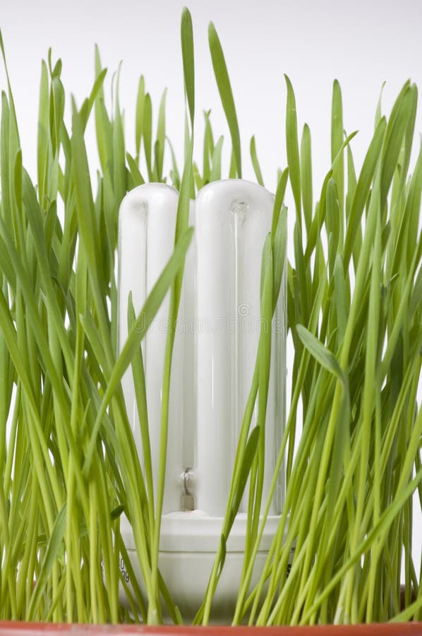 Save Energy Light Bulb Concept Stock Photo - Image of environmentalist ...