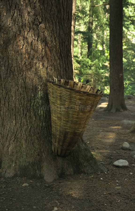 Save Environment Concept -Bamboo Sticks Handicraft Kilta Attached To a ...