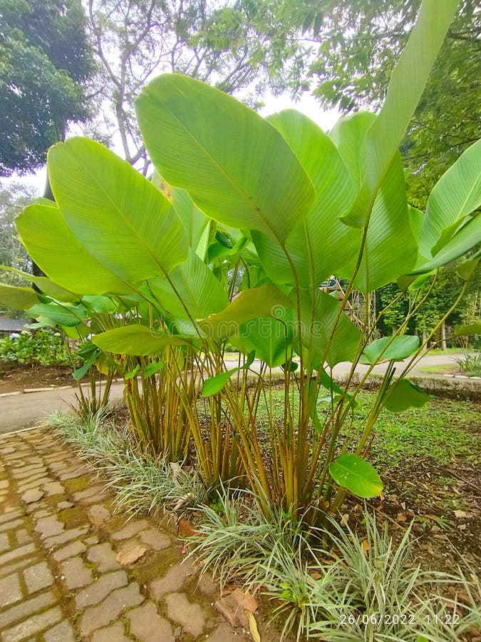 Save the Environment Starting from Your Own Action Stock Photo - Image ...