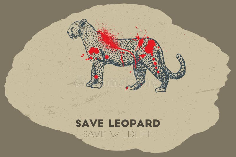 Save Leopard. Save Wildlife. Stock Vector - Illustration of grow ...