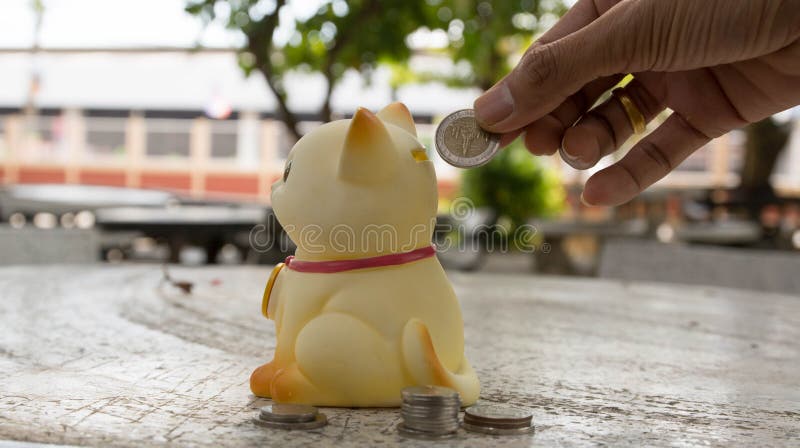 Save Money, Cat Save Money, Save Money Coin Stock Image - Image of ...