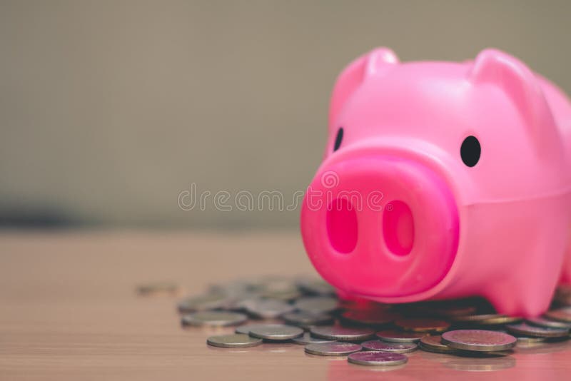 Save Money in Pig Pink for Future Use. Stock Image - Image of economy ...